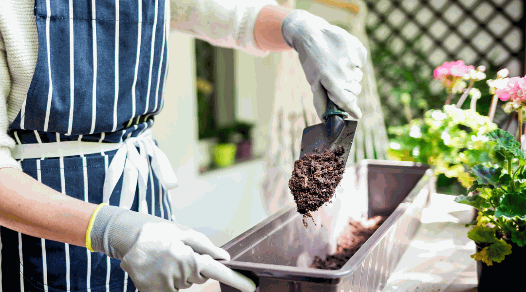 Embrace the Chill: A Comprehensive Guide to Winter Gardening in Austra